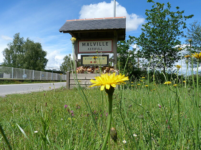 Origine du nom Malville - malville